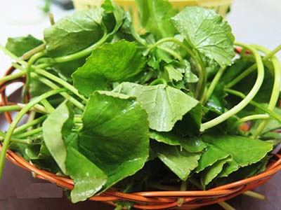 Tác dụng và lưu ý khi sử dụng rau má đối với sức khỏe con người